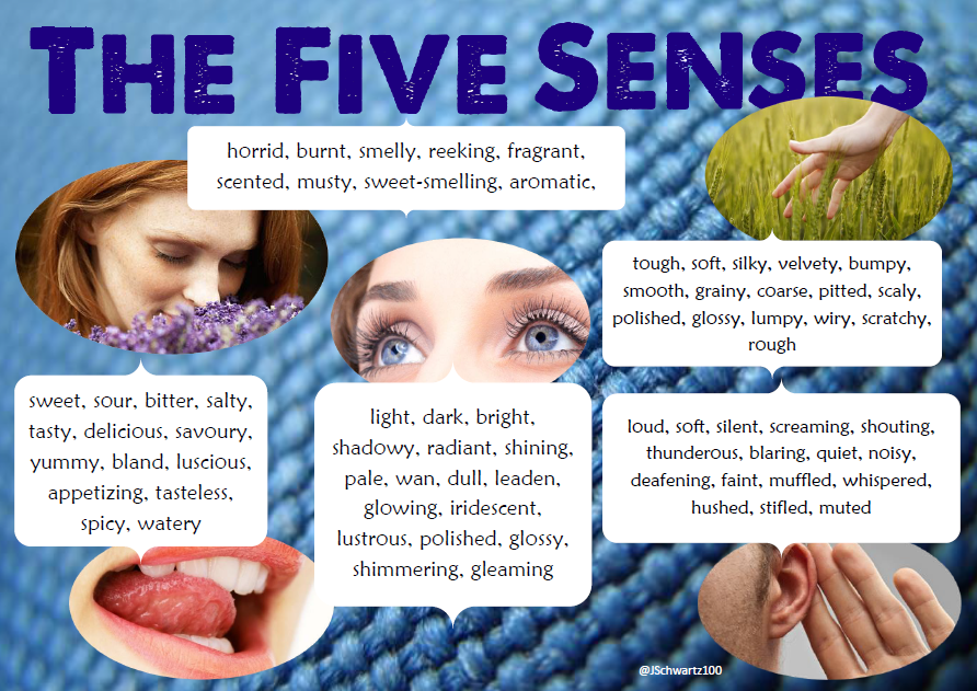 ‘Progress Packs’ and How We Use Them – Awaken English