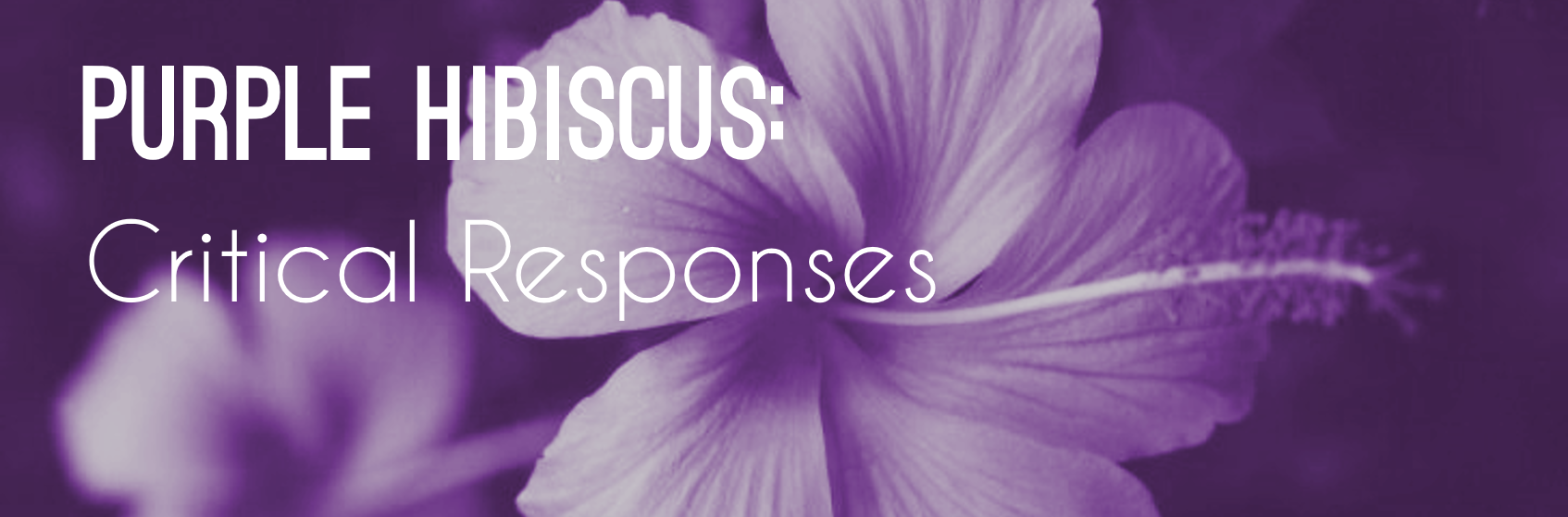 Critical Responses to Purple Hibiscus – Awaken English