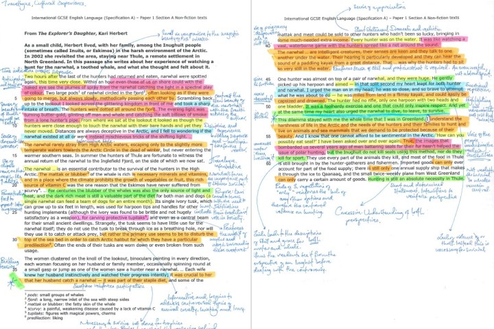 The Explorer’s Daughter – Awaken English