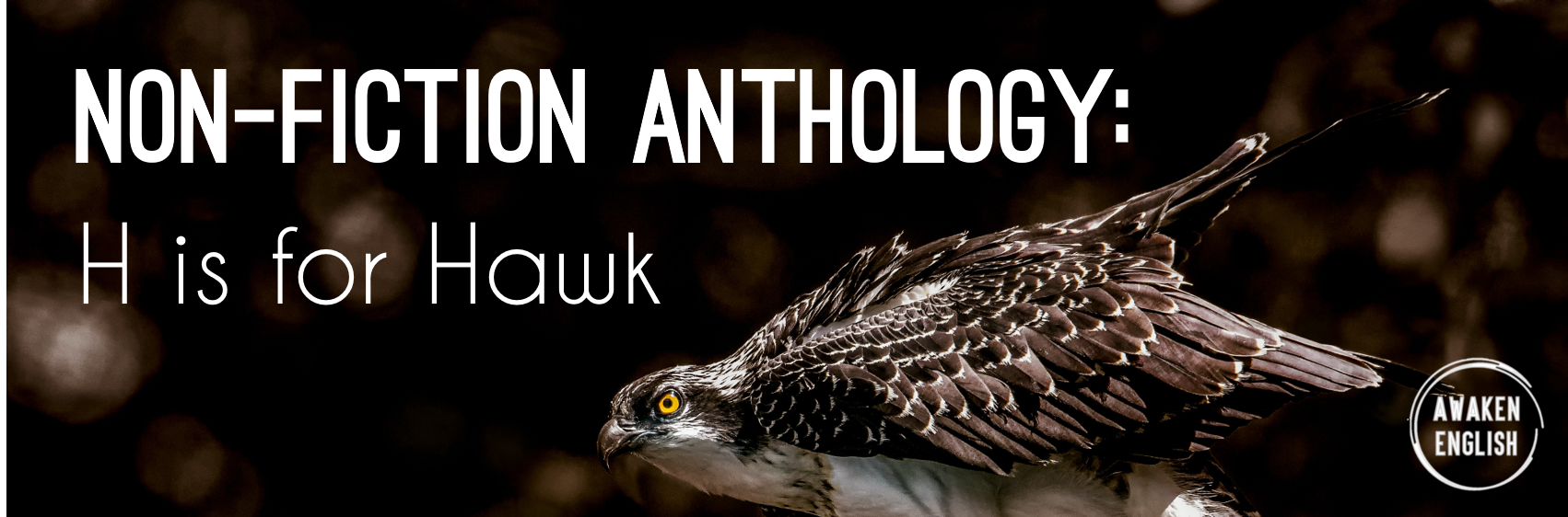 H is for Hawk – Awaken English