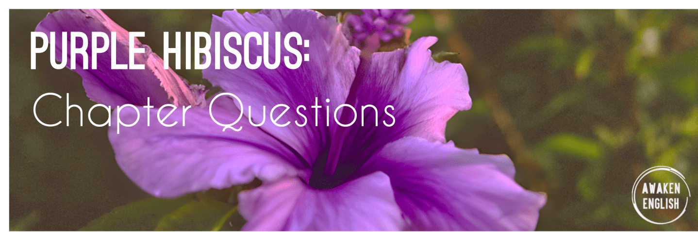 Purple Hibiscus Chapter Questions – Awaken English