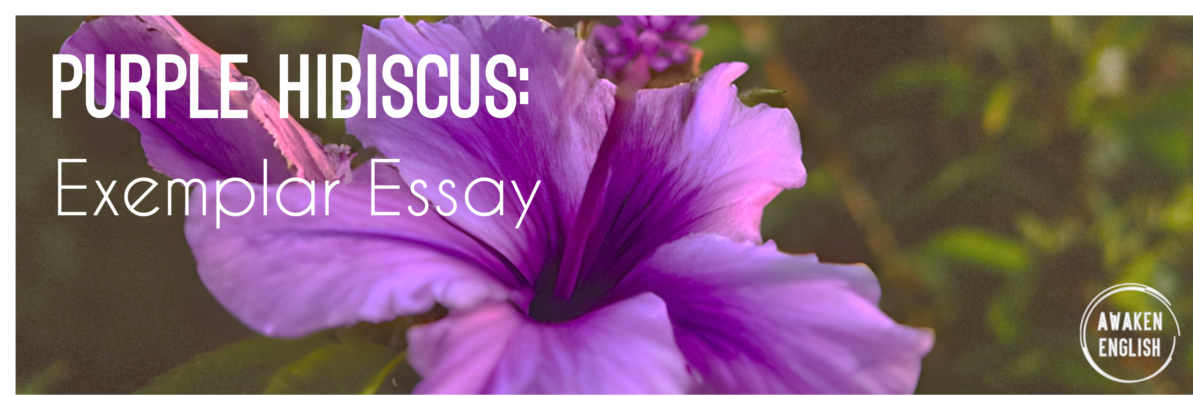 How does Adichie present Papa’s relationships in Purple Hibiscus ...