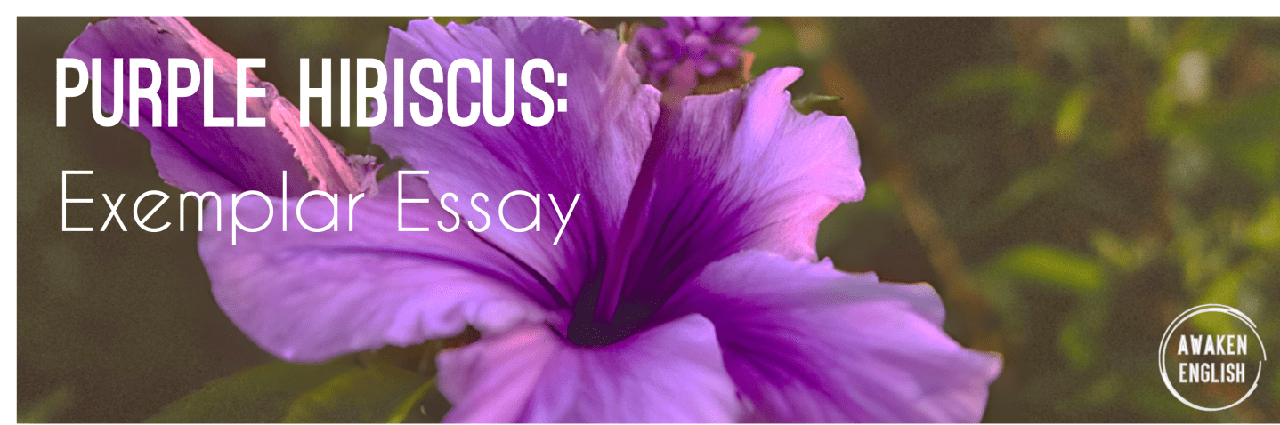 How does Adichie present Papa’s relationships in Purple Hibiscus ...